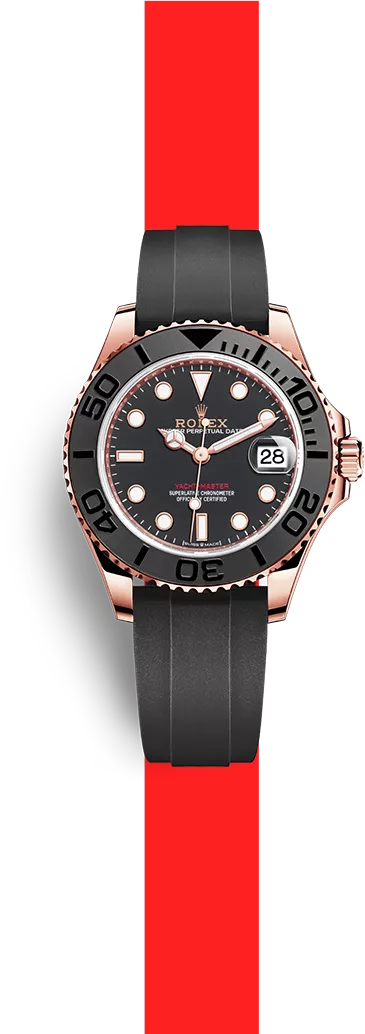 Watch shop | eCommers